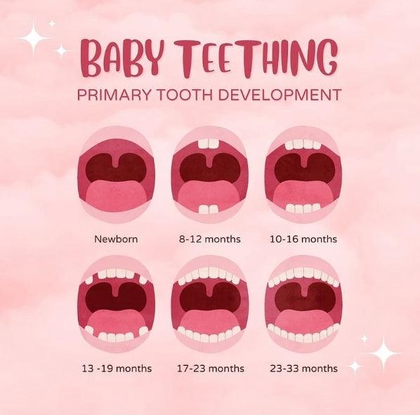 Understanding Baby's Chewing Behavior: A Guide for Parents – Smily Mia